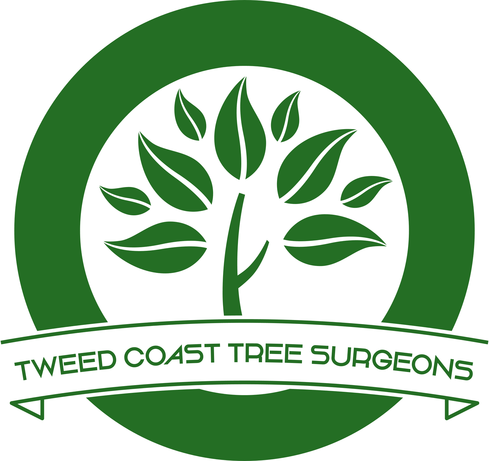 Tree Removal Tree Pruning Tweed Coast Tree Surgeons
